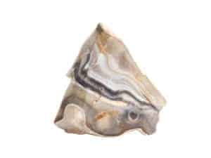 Flint: Identification, Pictures & Info for Rockhounds – Rockhound Resource
