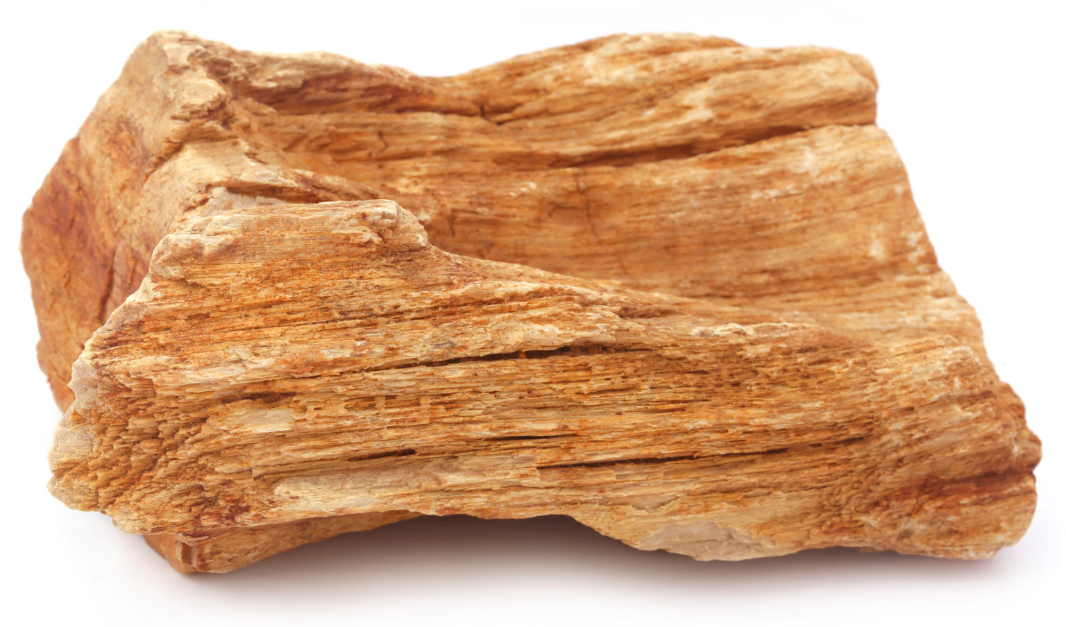 Sedimentary Rocks: Identification, Pictures & Descriptions – Rockhound ...