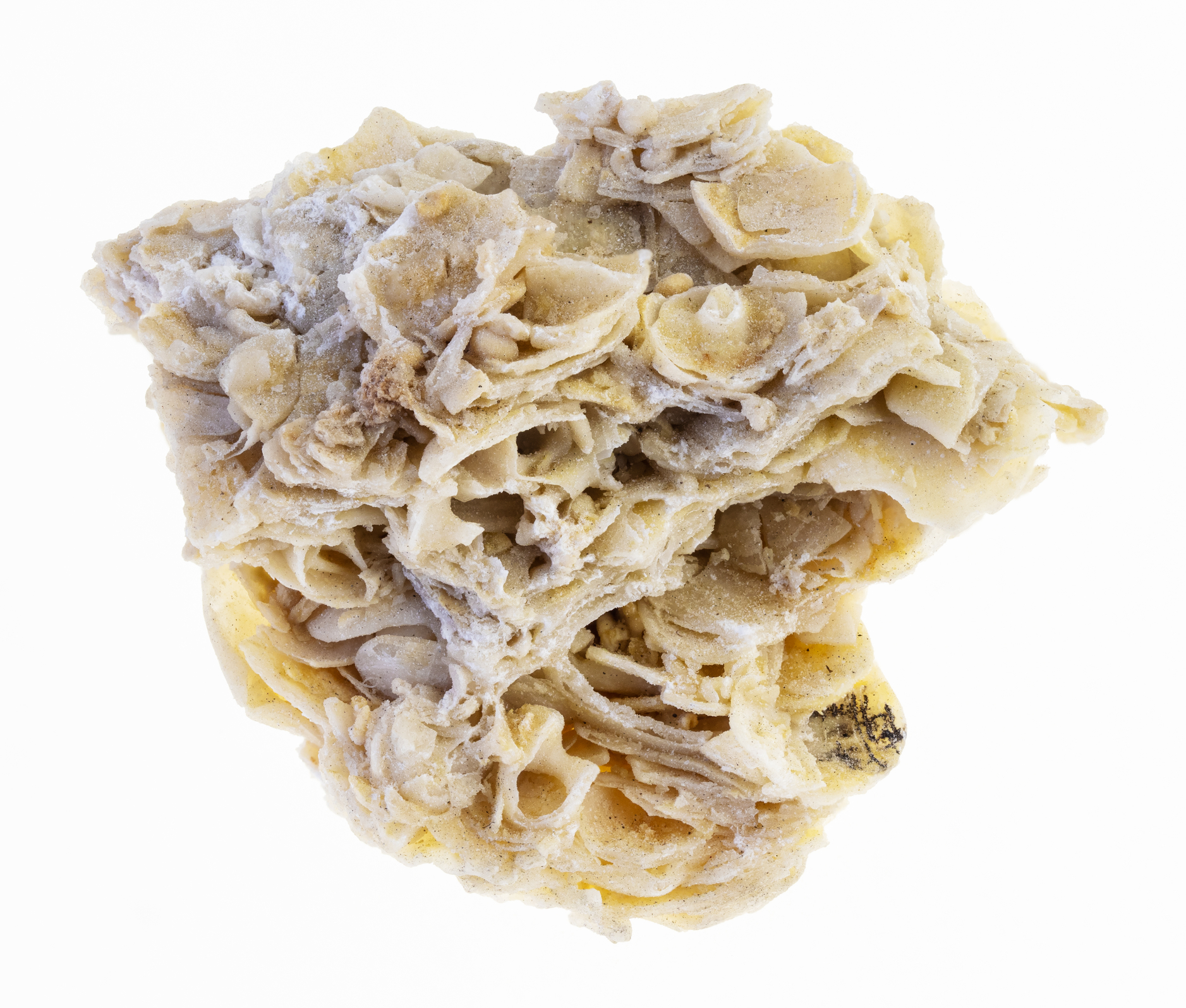 Limestone: Identification, Pictures & Info for Rockhounds – Rockhound ...