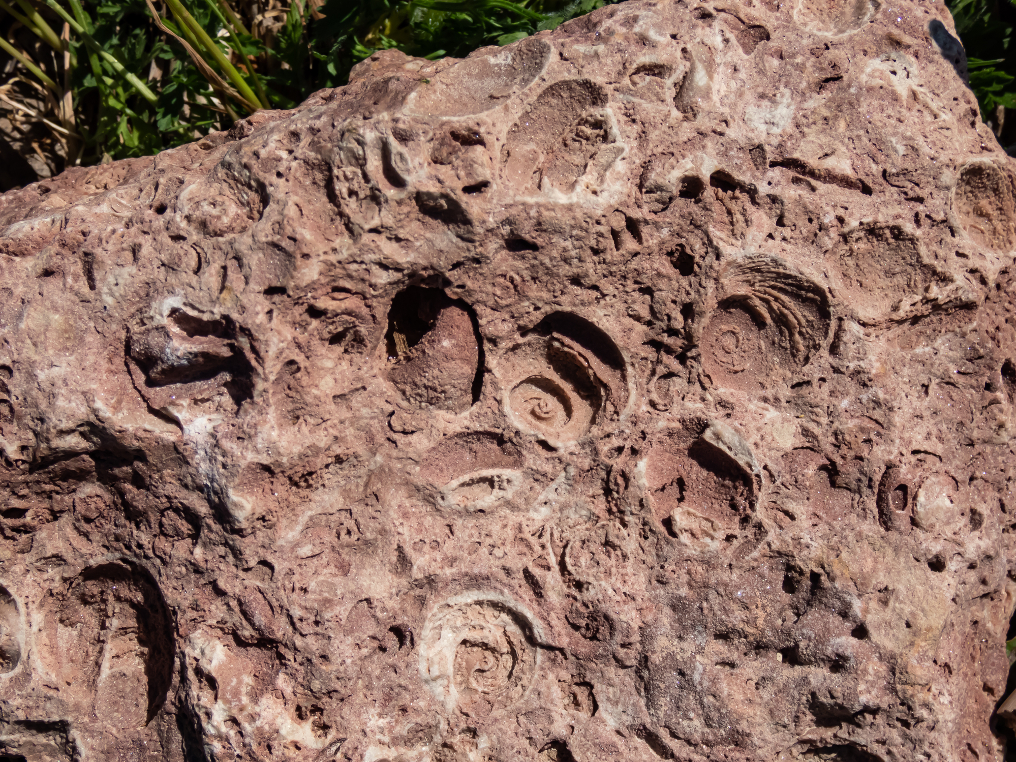Dolomite: Identification, Pictures & Info for Rockhounds – Rockhound ...