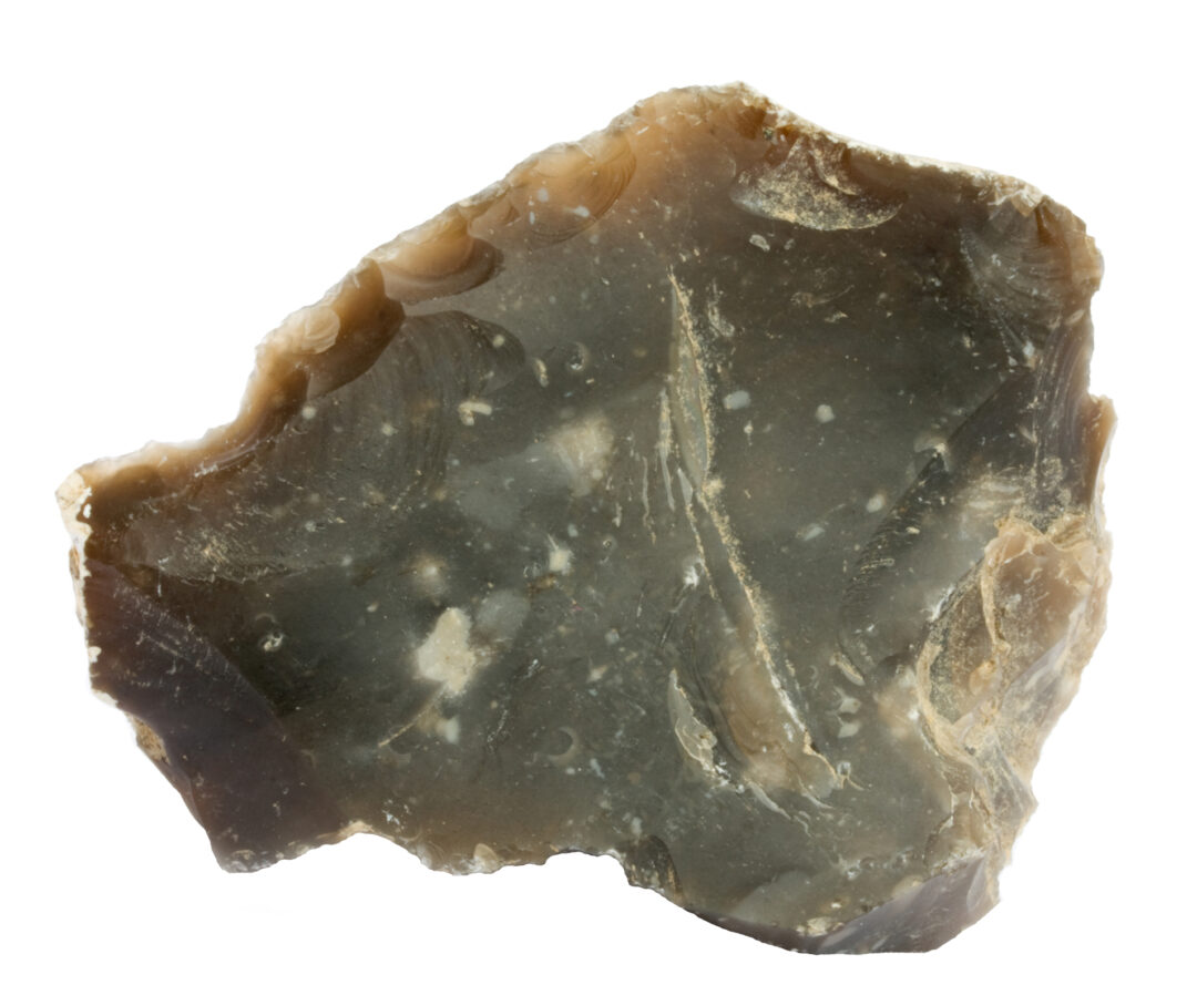 Flint: Identification, Pictures & Info for Rockhounds – Rockhound Resource