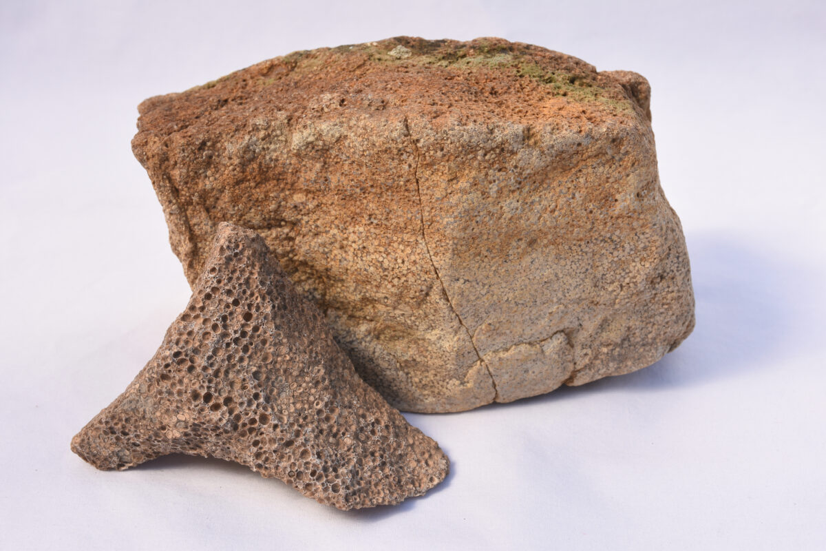 Limestone: Identification, Pictures & Info for Rockhounds – Rockhound ...